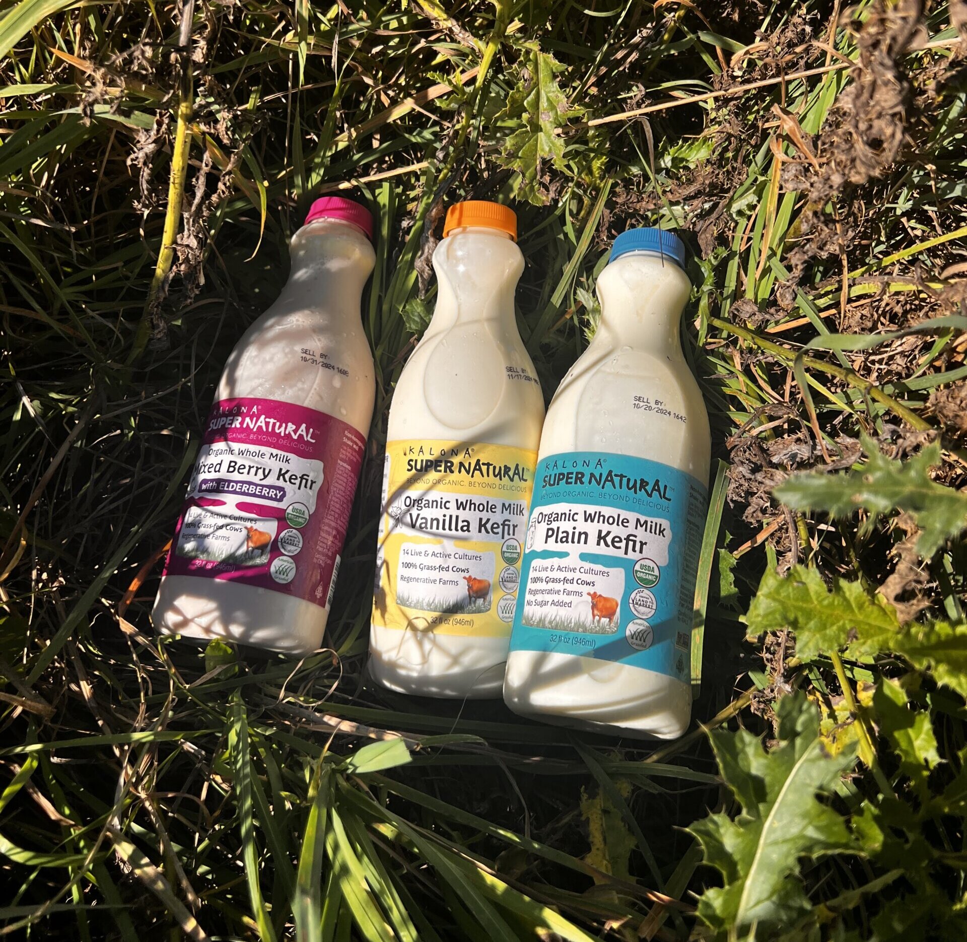Delicious Cream Top | Non-Homogenzied Dairy | Kalona SuperNatural